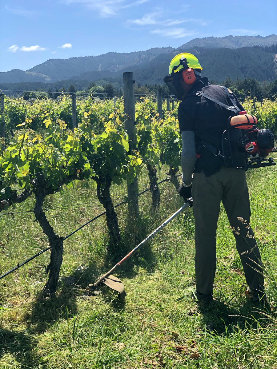 Why under vine weeding? – Hans Herzog Estate